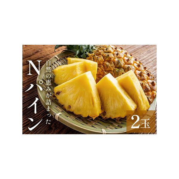 ■ 容量　・Nパイン[2玉]　　原産地:沖縄県糸満市■ 配送について　発送は2026年8月上旬より順次発送予定　タイプ：【冷蔵】