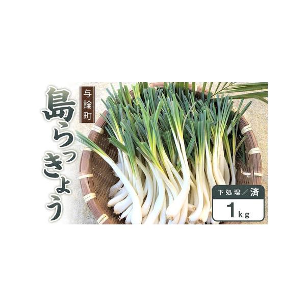 ■ 容量　島らっきょう(皮処理済）　・1kg　【賞味期限】　約1か月　【保存方法】　冷蔵■ 配送について　令和8年3月頃から順次発送。収穫・皮処理後随時発送　タイプ：【常温】