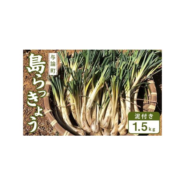 ■ 容量　島らっきょう(泥付き）　・1.5kg　【賞味期限】　約1か月　【保存方法】　冷蔵■ 配送について　令和8年3月頃から順次発送。収穫後随時発送　【受付期間】　〜2026年3月31日　タイプ：【常温】