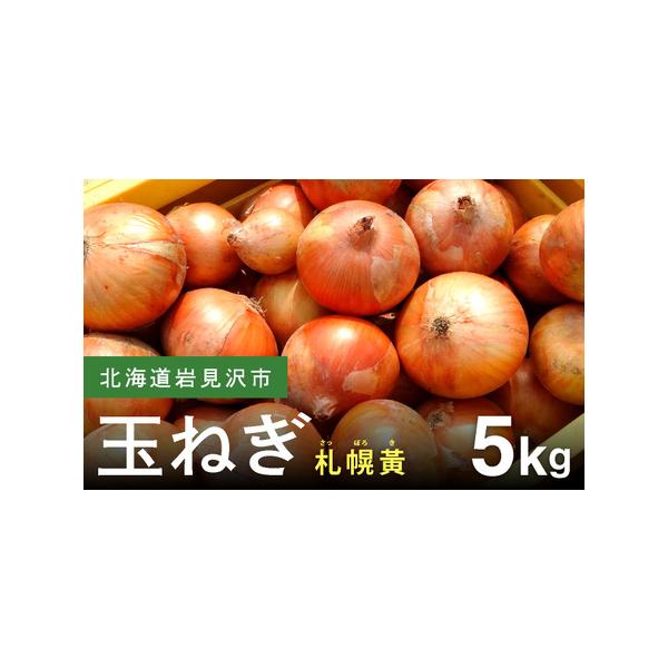 ■ 容量　札幌黄（さっぽろき）5kg■ 配送について　2026年9月中旬〜2026年10月中旬 　※収穫の状況により前後する場合がございます。　タイプ：【常温】