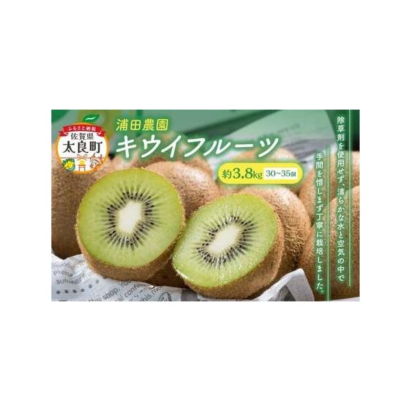 ■ 容量　グリーン 30〜35個（約3.8kg）　スタンドパック6袋付き■ 配送について　2026年4月上旬までに順次発送予定　タイプ：【常温】