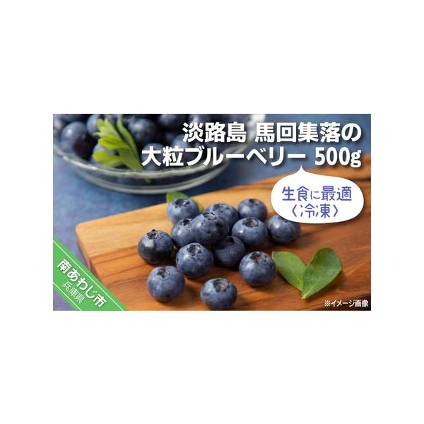 ■ 容量　大粒ブルーベリー（冷凍）：500g×1袋■ 配送について　※配送日指定：不可　タイプ：【冷凍】