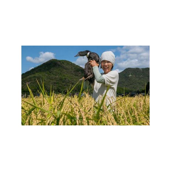 ■ 容量　アイガモレバー 5個　アイガモすなぎも 5個　アイガモ心臓（ハツ） 5個　アイガモせせり 6本約50〜60g　アイガモささみ 100g　すべて多可町中区東安田産　　アイガモ（真鴨×チェリーバレー種の交配種、平飼い・抗生物質及び成長...