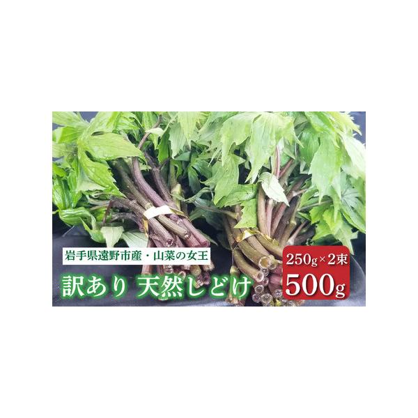 ■ 容量　天然しどけ 訳あり品 250g×2束 計500g　消費期限：発送から4日（要冷蔵保存）　※画像はイメージです■ 配送について　※発送の時期は、天候や収穫状況により前後することがあります。　※収穫に合わせて申込順でお送りいたします。...