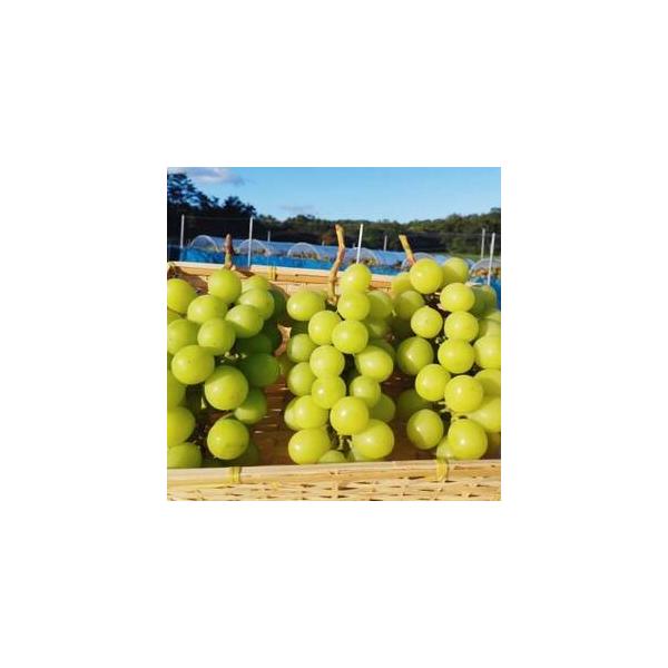 ■ 容量　※上記に記載■ 配送について　2026-09-23〜2026-12-28　タイプ：【常温】