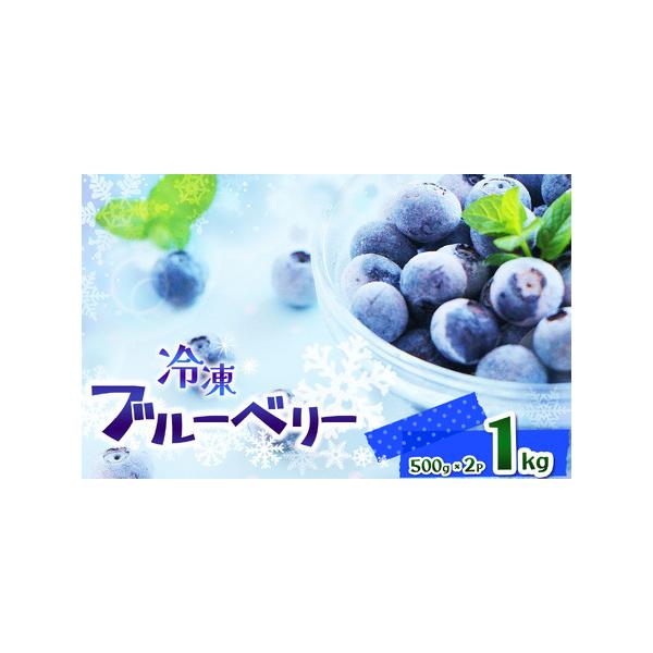 ■ 容量　■ 約500g×2パック　お試しや少量使いにちょうど良いセット。　初めての方や、冷凍庫のスペースが気になる方におすすめです。■ 配送について　※返礼品の特性上、発送時期が前後する場合がございます。予めご了承ください。　※長期不在の...