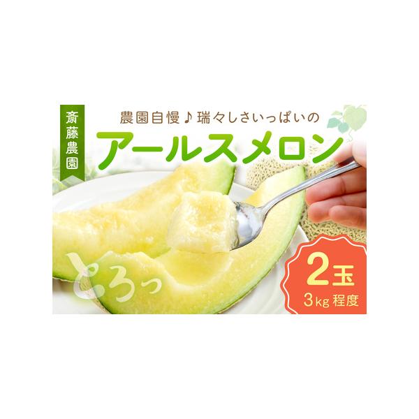 ■ 容量　2玉 3kg程度■ 配送について　2026年6月下旬より順次発送予定　タイプ：【常温】