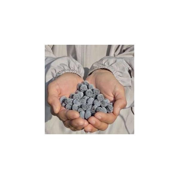 ■ 容量　※上記に記載■ 配送について　2026年2月より順次発送　タイプ：【冷凍】