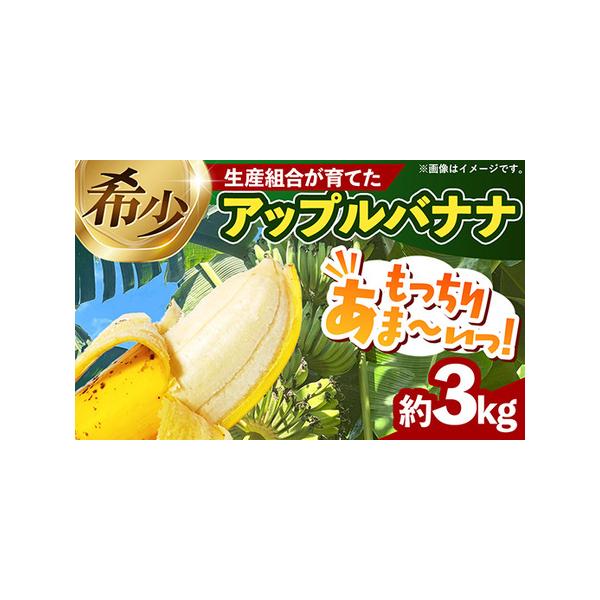 ■ 容量　アップルバナナ約3kg■ 配送について　準備でき次第、お申し込み順にて発送いたします　タイプ：【常温】