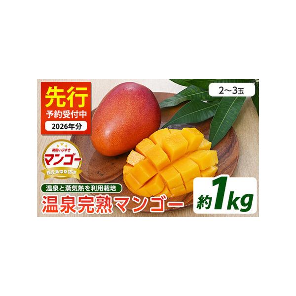 ■ 容量　温泉完熟マンゴー：約1kg(2〜3玉入)　鹿児島県指宿市産■ 配送について　■受付期日：〜2026年7月下旬頃まで受け付けております。　※生育状況によって前後する場合がございます。予めご了承ください。　　■発送期日：2026年7月...