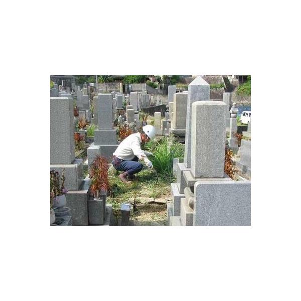 ■ 容量　１区画　（半坪・畳１畳分）■ 配送について　お申込み後、希望日・作業場所を尾道市シルバー人材センター（TEL:0848-20-7700）へ直接ご連絡をお願いします。　タイプ：【常温】