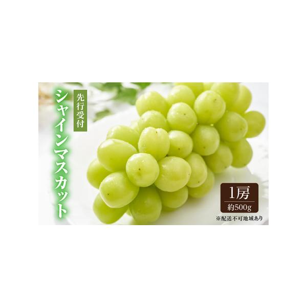 ■ 容量　シャイン マスカット 1房 約500g　岡山県内産（5条8号ハ）　※お届け日、時間の指定は申し訳ないですが、お受けできません。　※果物は大変傷みやすいです。受取後すぐにお品の状態をご確認ください。　■ 配送について　2026年8月...