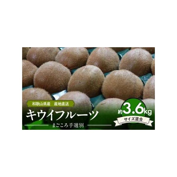 ■ 容量　約3.6kg M〜4Lサイズ混合　■ 配送について　2026/1/25~2026/4/30頃発送予定　　タイプ：【常温】