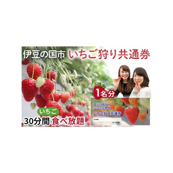 ■ 容量　【内容】　伊豆の国市いちご狩り共通券1名様分 1枚（市の認定を受けた農園で30分間食べ放題のいちご狩りを体験できます。）　　有効期限：1/4〜4/30　提供元：伊豆の国市■ 配送について　令和7年11月4日〜令和8年3月31日　タ...