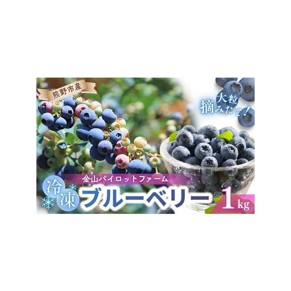 ■ 容量　【容量】　冷凍ブルーベリー 1kg（発泡スチロール）　　【アレルギー】　【原材料】ブルーベリー　　【賞味期限】　冷凍1カ月程度■ 配送について　2026年9月頃から順次発送　※収穫状況や気象の影響、自然災害により、発送時期が前後す...