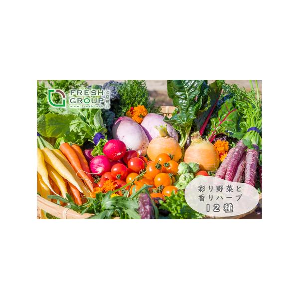 ■ 容量　厳選こだわり１２種詰め合わせセット　　＊一例＊　　カラースティックニンジン/カラフルラディッシュミックス/　イタリアンパセリ/ルッコラセルバチコ/バジリコ-スイートバジル-/　フェンネルフィノッキオセルバチコ/スペアミント/ローズ...