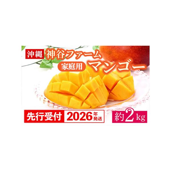 ■ 容量　神谷ファームのマンゴー約2Kg　※ご家庭用　(台風や高温等の天候の影響で年によっては傷・黒い斑点がある場合がございます)　※玉数の指定はできません　※数に限りがございます。申込数が予定数に達し次第締め切らせて頂きます。　　アレルギ...