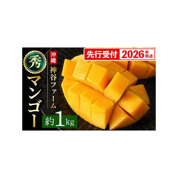 ■ 容量　神谷ファームのマンゴー（秀）約1Kg　（2〜4玉　※色付き7割以上）（化粧箱入り）　※玉数の指定はできません　※数に限りがございます。申込数が予定数に達し次第締め切らせて頂きます。　　アレルギー:ウルシ科■ 配送について　発送は2...