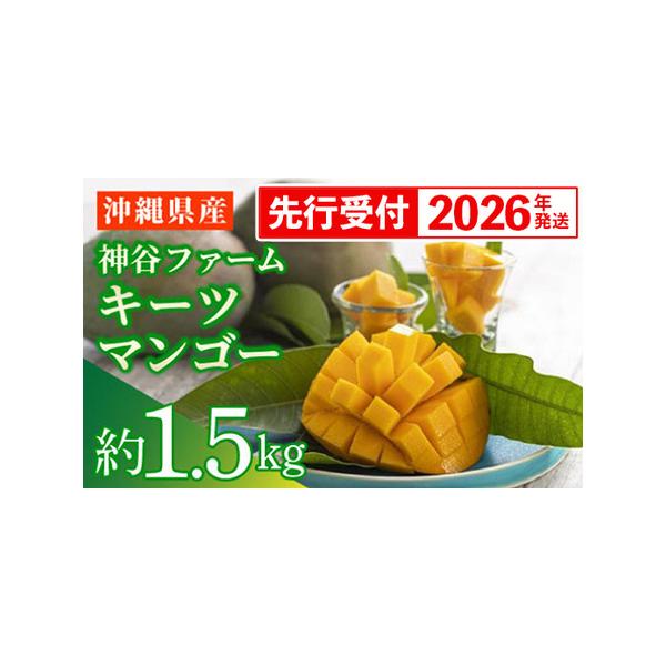 ■ 容量　・キーツマンゴー 約1.5kg(2〜3玉)　※玉数の指定はできません　※数に限りがございます。申込数が予定数に達し次第締め切らせて頂きます。　　アレルギー：ウルシ科■ 配送について　2026年8月中旬〜9月上旬頃を予定　(天候や収...