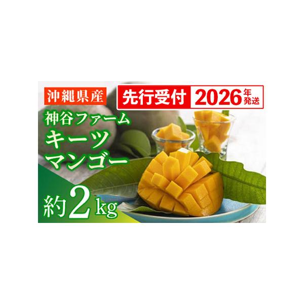 ■ 容量　・キーツマンゴー約2kg(2〜3玉)　※玉数の指定はできません　※数に限りがございます。申込数が予定数に達し次第締め切らせて頂きます。　　アレルギー：ウルシ科■ 配送について　2026年8月中旬〜9月上旬頃を予定　(天候や収穫状況...