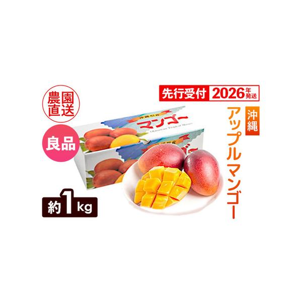 ■ 容量　アップルマンゴー（良品）約1kg（2〜3個入り・色付き5割以下)　※玉数の指定はできません。　※数に限りがございます。申込数が予定数に達し次第締め切らせて頂きます。　　アレルギー：ウルシ科■ 配送について　2026年6月中旬〜7月...