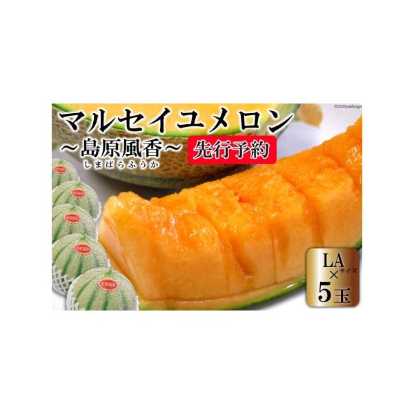 ■ 容量　LAサイズ×5玉　（LAサイズ：0.98〜1.15kg程度/玉）　　■消費期限　収穫日より10日程度（冷暗所で保存）■ 配送について　2026年5月下旬〜2026年6月中旬の期間で発送予定　※申込期日：2026年5月31日（決済確...