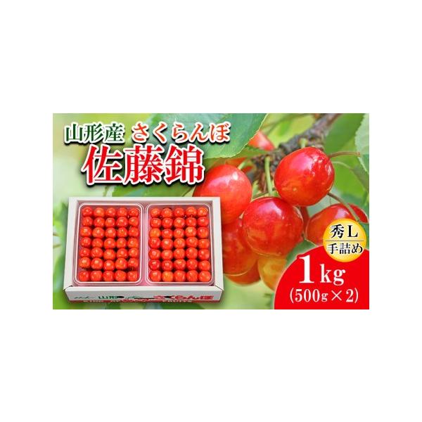 ■ 容量　【令和8年産】　さくらんぼ 佐藤錦Ｌ500ｇ×2手詰■ 配送について　【申込期日】2026年05月31日まで　【発送期間】2026年06月01日頃〜2026年06月30日頃　※状況により配送時期が前後する場合がございます。(着日指...