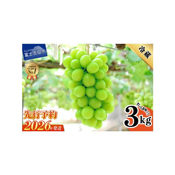■ 容量　【2026年発送 先行予約】シャインマスカット3kg(4〜7房)　　※沖縄および離島へのお届けはできません。　※2026年8月下旬から10月下旬頃のお届けとなります。(配送日時指定不可)　※日時指定は出来かねておりますのでご注意く...