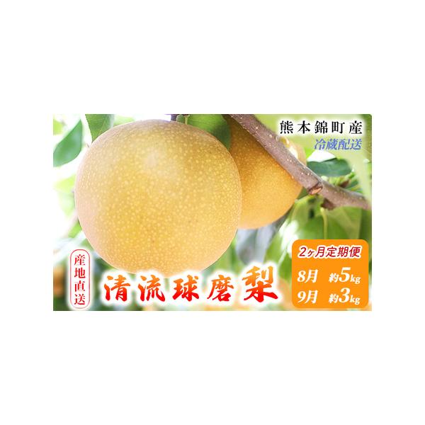 ■ 容量　8月 梨（豊水又はあきづき）約5kg (約9玉〜12玉程度)　9月 梨（新高又はかおり）約3kg (約4玉〜7玉程度)　■ 配送について　2026年8月上旬〜9月下旬　　タイプ：【冷蔵】【定期】