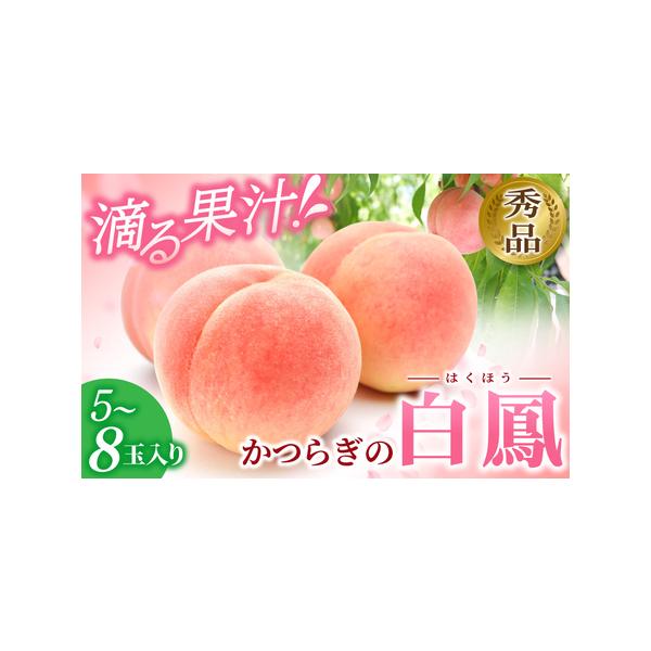■ 容量　5〜8玉入り 秀品 和歌山県産　　【賞味期限】　生鮮品の為、なるべくお早めにお召し上がりください。　　■内容量に関するご注意　※お礼品名にある数量【5〜8玉】は重さを調整しての配送になるため個数の指定は致しかねます。　※記載の重量...