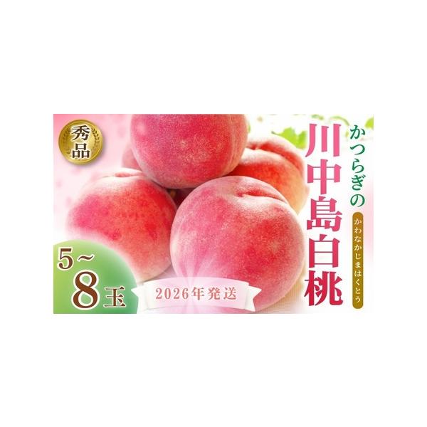 ■ 容量　川中島白桃〔5〜8玉入り・秀品〕/和歌山県産　　■内容量に関するご注意　※お礼品名にある数量【5〜8玉】は重さを調整しての配送になるため個数の指定は致しかねます。　※記載の重量は箱の規格のため、実重量には差異が生じます。桃用の記載...