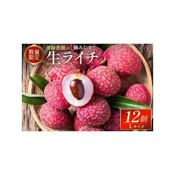 ■ 容量　宮崎県産「生ライチ」Lサイズ 12個■ 配送について　2026年6月中旬〜7月中旬の収穫期間内に順次出荷（前後する可能性あり）　※想定外の病気・天災(台風等)により収穫できない場合は、返礼品が変更になる場合や受取日の希望にそえない...