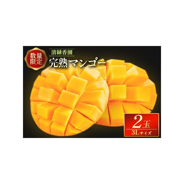 ■ 容量　完熟マンゴー 3L×2玉■ 配送について　2026年5月下旬〜6月下旬の収穫期間内に順次出荷（前後する可能性あり）　※想定外の病気・天災(台風等)により収穫できない場合は、返礼品が変更になる場合や受取日の希望にそえない場合がありま...