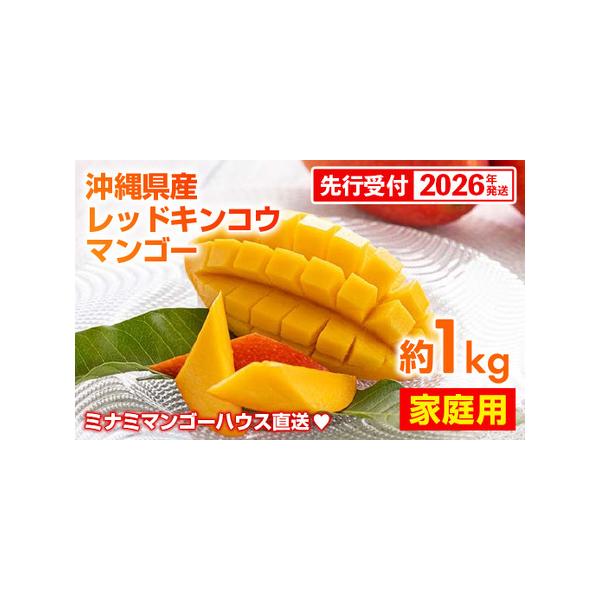 ■ 容量　家庭用・赤金煌(レッドキンコウ）マンゴー約1kg　※色・キズ有り・不揃いの為、見た目は落ちますが、味や甘さは変わりありません。ご家庭用としてご賞味ください。　※玉数の指定はできません　※数に限りがございます。数量に達し次第終売とな...