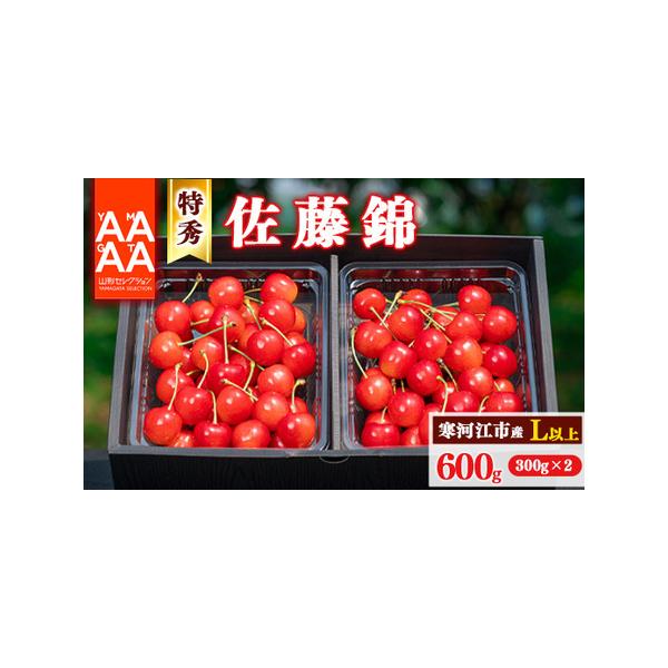 ■ 容量　【容量】　2026年産（令和8年産）　山形県産（寒河江市産）　さくらんぼ 「佐藤錦」【特秀品】　Lサイズ以上 600g (300g×2パック)　※令和8年産の先行予約品です。　　※こちらの返礼品は、のし・ラッピング対応はできません...