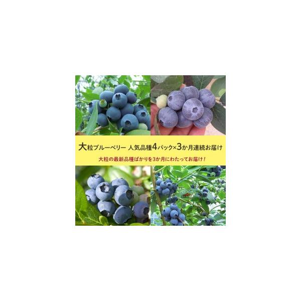 ■ 容量　（100g×4パック）×3回■ 配送について　2026年5月上旬?7月上旬頃に順次発送予定　タイプ：【冷蔵】