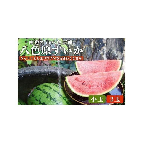 ■ 容量　２玉 （１玉：約１.２〜２.５ｋｇ）　※１玉は重さの選定しております。　【賞味期限・消費期限】　５日〜７日　※お早めにお召し上がりください。■ 配送について　2026年7月16日〜2026年8月20日の期間に受付順に順次発送予定。...