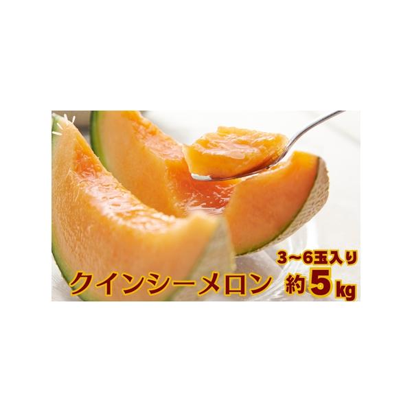 ■ 容量　3〜6玉入り（約5kg）　■ 配送について　2026年6月下旬〜7月下旬　　タイプ：【常温】