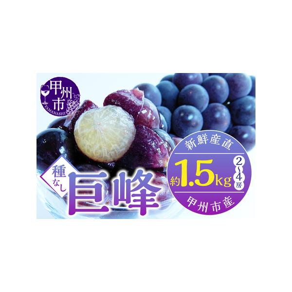 ■ 容量　種なし巨峰 約1.5kg（2〜4房入）　　【申込期日】　2026年9月中旬頃まで　【消費期限】　到着次第、お早めにお召し上がりください。　　【注意事項】　※上記注意事項を必ずご確認ください。　※画像はイメージです。　※収穫時期によ...
