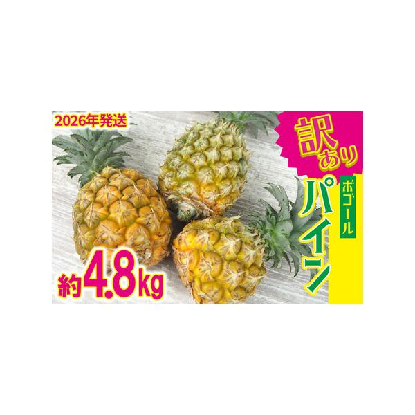 ■ 容量　訳あり　ボゴールパイン　4〜8玉　約4.8kg■ 配送について　2026年5月下旬〜7月中旬発送予定　タイプ：【常温】
