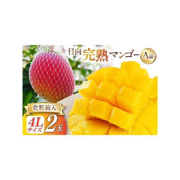 ■ 容量　■容量　日向産完熟マンゴーA品4Ｌ(500g以上)×2玉入り　　化粧箱にてお届けします　　■消費期限　発送日より10日程度（要冷蔵）　　■アレルギー　マンゴーはウルシ科の植物です。体質によっては、マンゴーの果汁等でかぶれる場合があ...