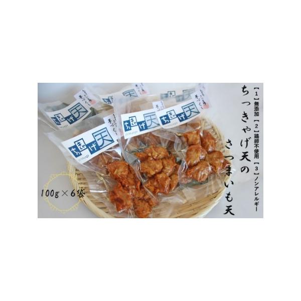 ■ 容量　さつまいも天:100g×6パック■ 配送について　■受付期日：通年申し込みを受け付けております。　　■発送期間：ご決済確認後、概ね30日以内に発送予定　タイプ：【冷蔵】