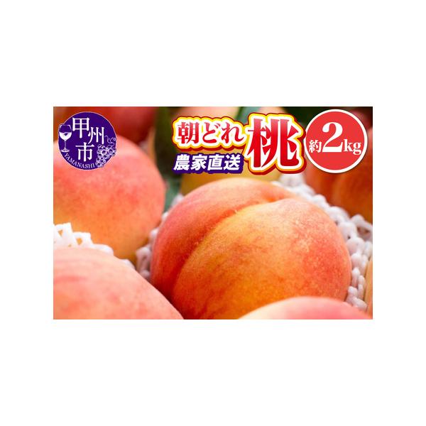 ■ 容量　桃 約2kg（大玉 4〜7玉）　　【申込期日】　2026年8月中旬頃まで　【消費期限】　到着次第、お早めにお召し上がりください。　【アレルギー品目】　もも　　【注意事項】　※上記注意事項を必ずご確認ください。　※画像はイメージです...