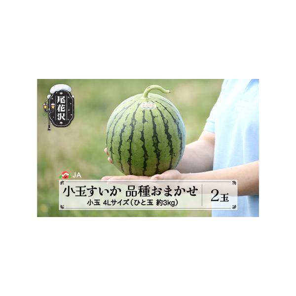 ■ 容量　小玉すいか 品種おまかせ　(ひとりじめ または ピノガール より1品種)　※すいかの種類はお選びいただけません。　　4Lサイズ 約3kg前後×2玉　※3kg/玉に満たない場合もございます。　　■ 配送について　令和8年7月中旬頃〜...