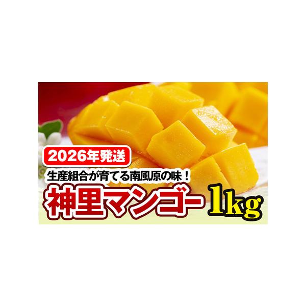 ■ 容量　マンゴー　1kg（2玉〜3玉）　※玉数の指定はできません。　　消費期限：青果物のため、早めにお召し上がり下さい。　　アレルギー：ウルシ科■ 配送について　申込期日：2026年6月30日まで　発送期日：2026年6月中旬〜7月下旬　...