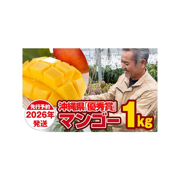 ■ 容量　マンゴー　1kg（2〜4玉）　※玉数指定はできません。　　消費期限：青果物につき、到着後はお早めにお召し上がり下さい。　　アレルギー：マンゴー（ウルシ科）■ 配送について　申込期日：2026年6月30日まで　発送期日：2026年6...