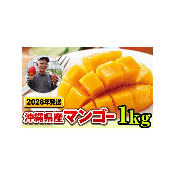 ■ 容量　マンゴー1kg（2玉〜3玉）　 ※玉数・大きさは指定できません。　　消費期限：青果物のため、早めにお召し上がり下さい。　　アレルギー：ウルシ科■ 配送について　申込期日：2026年6月30日まで　発送期日：2026年6月中旬〜7月...