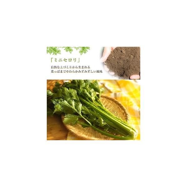 ■ 容量　※上記に記載■ 配送について　2026-11-28〜2026-12-25　タイプ：【冷蔵】