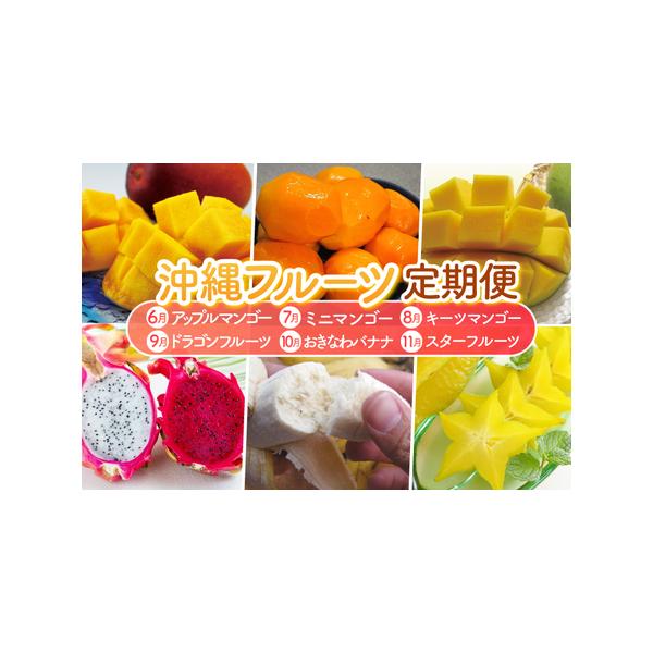 ■ 容量　箱サイズ　(縦約21×横約25×高さ約14cm)　【6月】完熟アップルマンゴー（中玉/2玉）　【7月】ミニマンゴー（約500ｇ）　【8月】幻のキーツマンゴー（中玉/1玉）　【9月】ドラゴンフルーツ（2〜4玉）　【10月】おきなわバ...