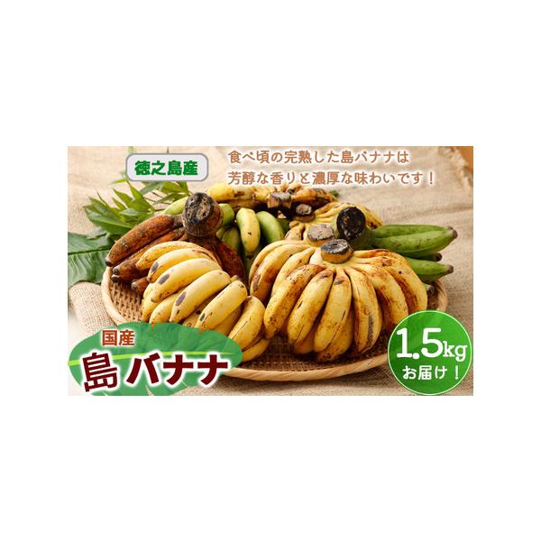 ■ 容量　1.5kg（2〜3房）■ 配送について　2026年7月上旬より順次お届けいたします。　※天候等の影響により、8月〜9月頃のお届けとなる場合もございます。予めご了承ください。　タイプ：【常温】